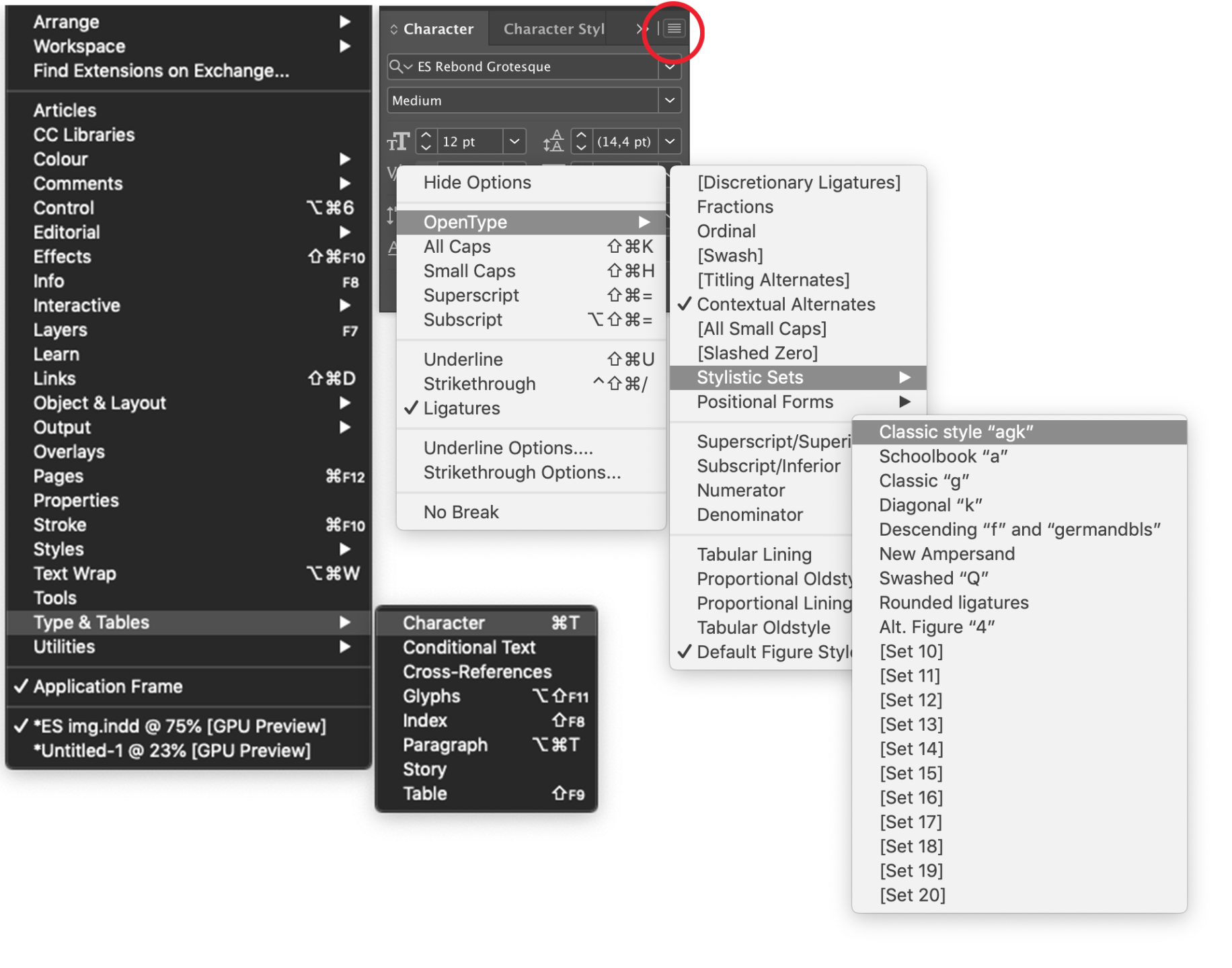 Stylistic Sets Guide | Extraset
